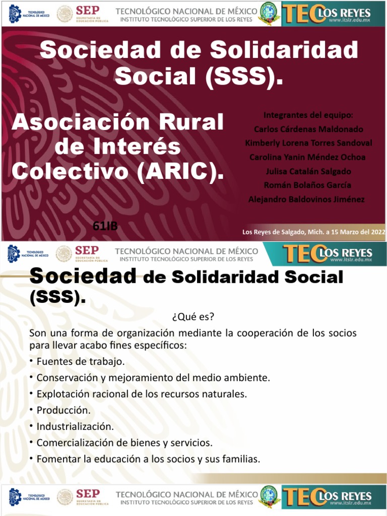 Sociedad de Solidaridad Social (SSS) | PDF | Sociedad | Economias