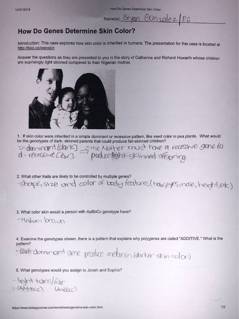 Understanding Polygenic Inheritance: An Analysis of How Multiple Genes ...