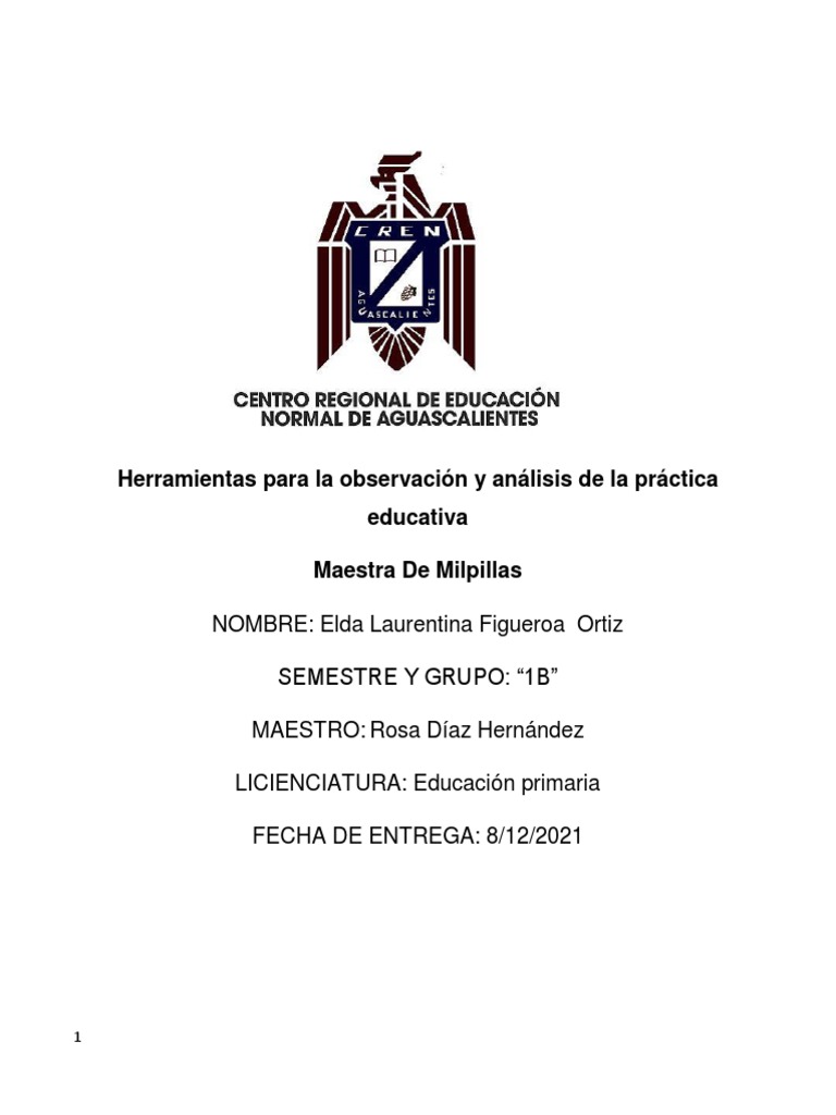 Maestra de Milpillas | PDF | Aprendizaje | Cognición