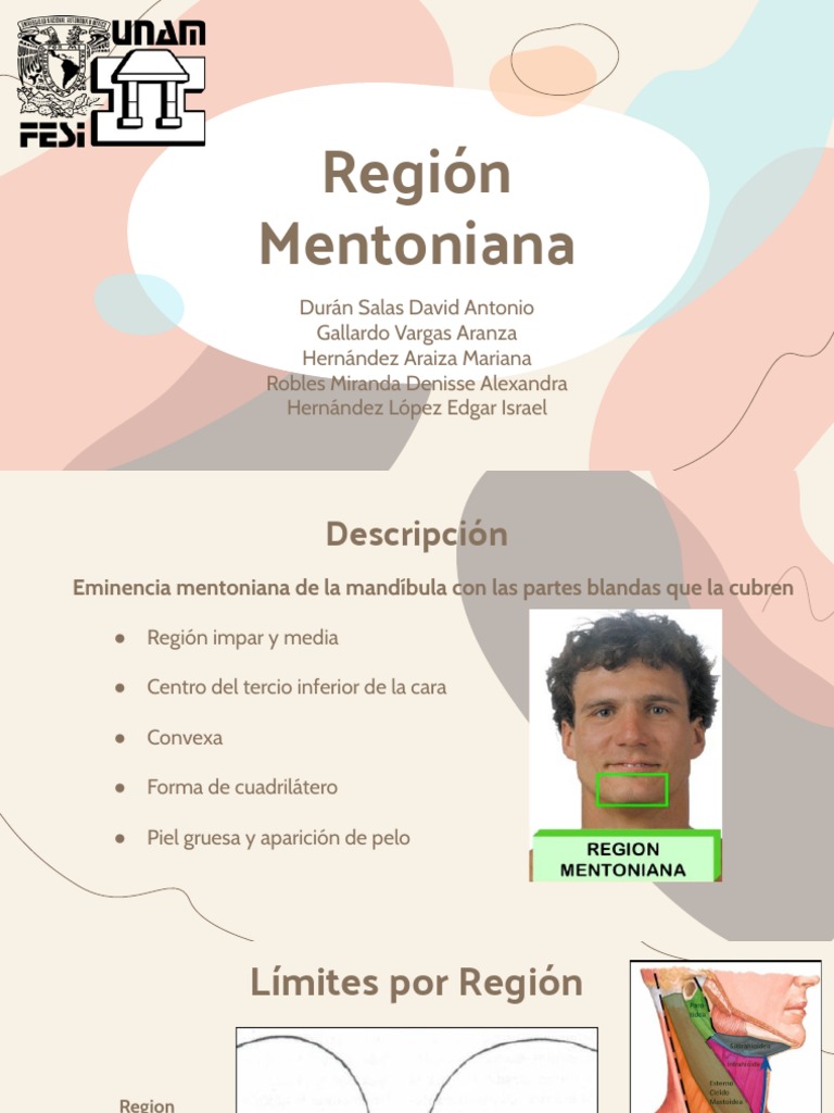 Anatomía y caso clínico de neuroma mentoniano traumático | PDF | Piel ...