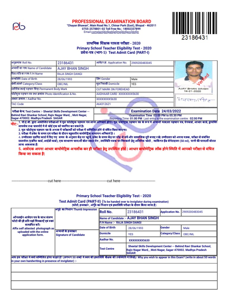 Professional Examination Board Ajju Bhai | PDF