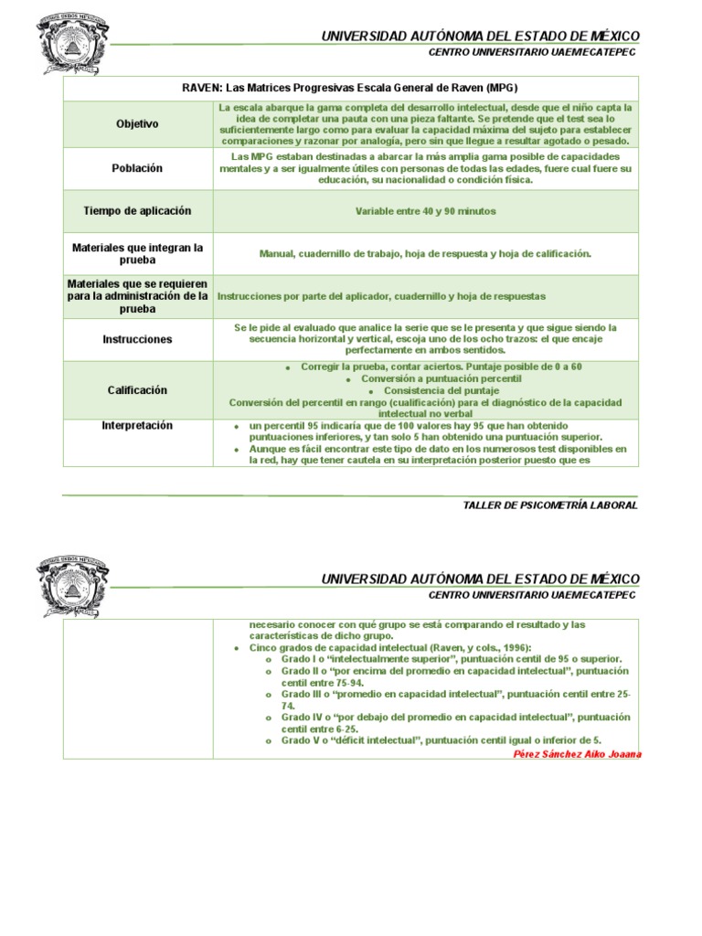 Formato de Ficha Tecnica Raven | PDF | Cognición