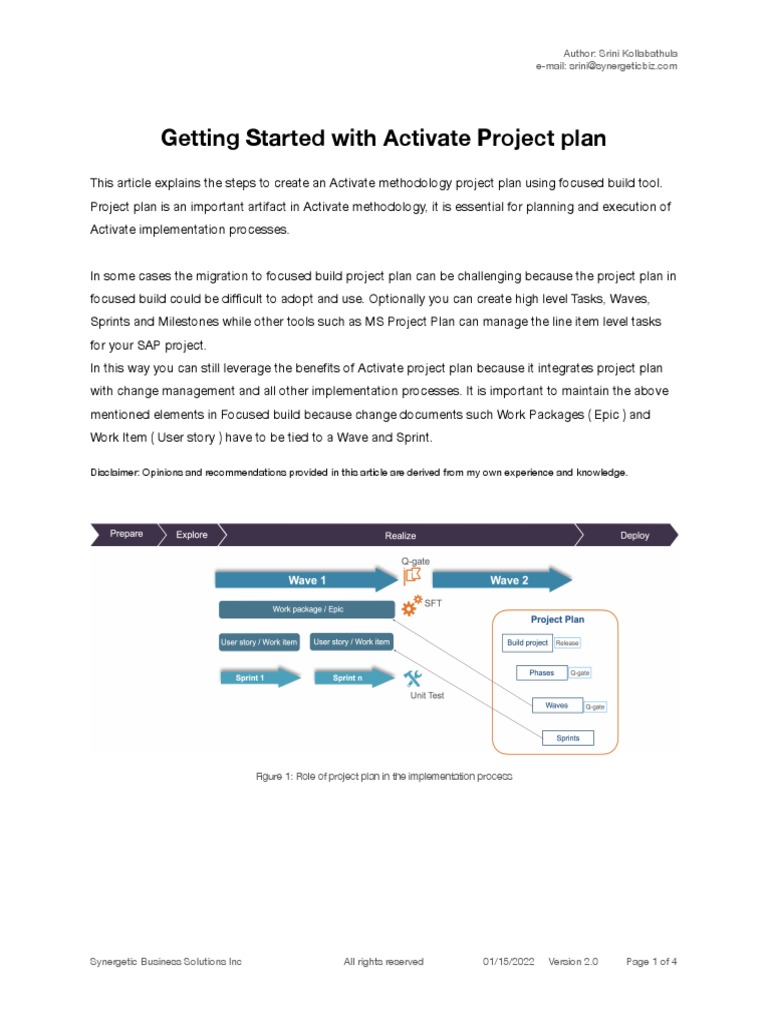 Linkedin - Activate Project Plan | PDF | Project Management | Software