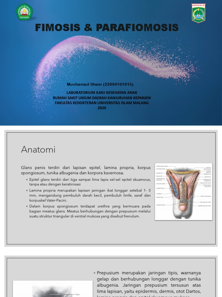 Fimosis dan Parafimosis pada Anak | PDF | Ilmu Sosial | Kesehatan Holistik