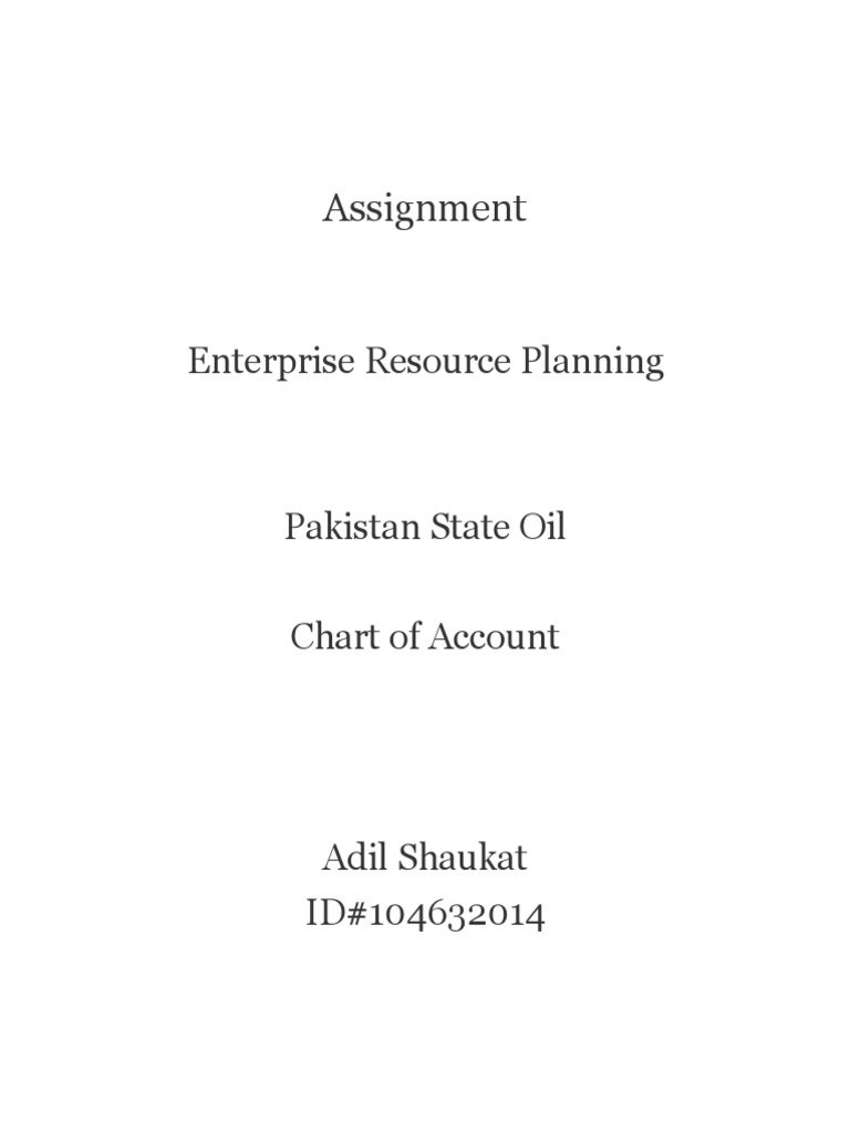 ERP Chart of Accounts for PSO | PDF