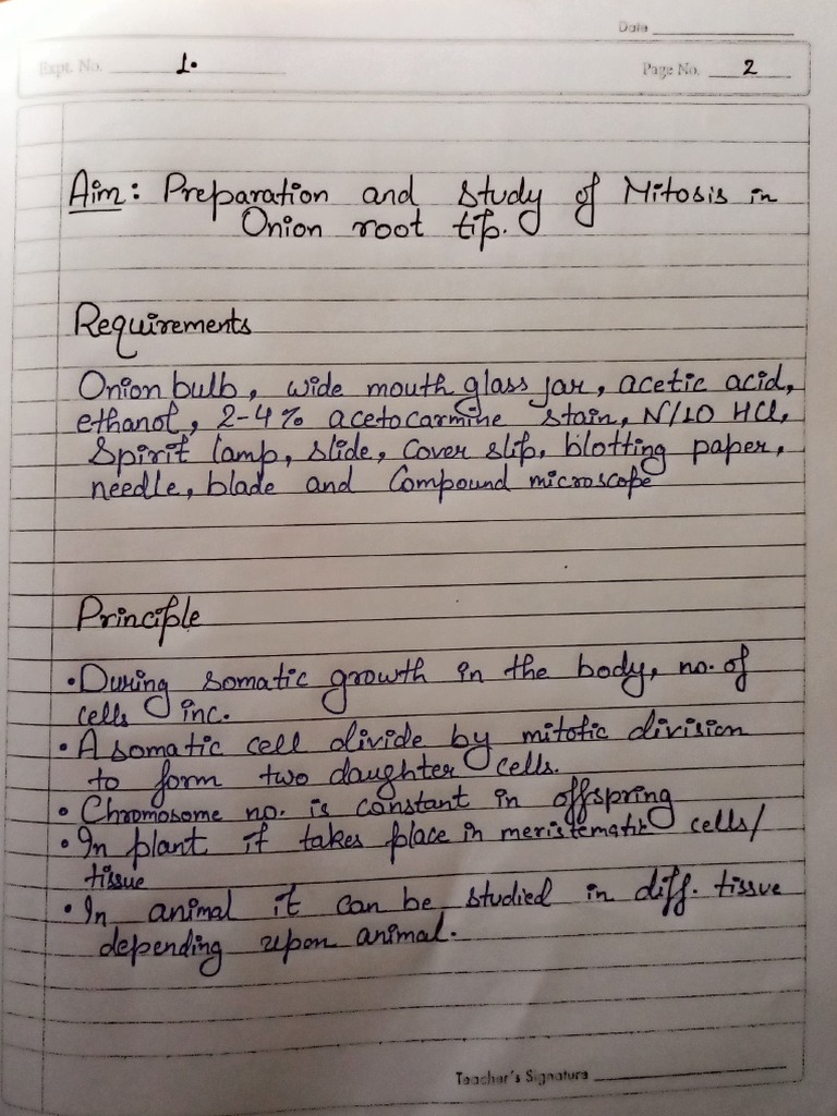 Bio Experiment Class 12 | PDF