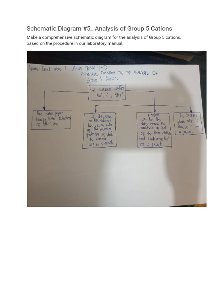 Schematic Diagram #5 - Analysis of Group 5 Cations | PDF | Computers