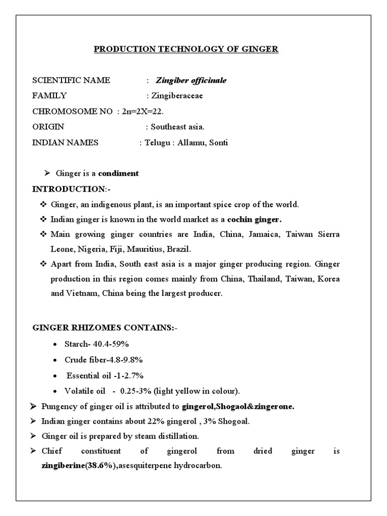 Production Technology of Ginger | PDF | Ginger | Mulch