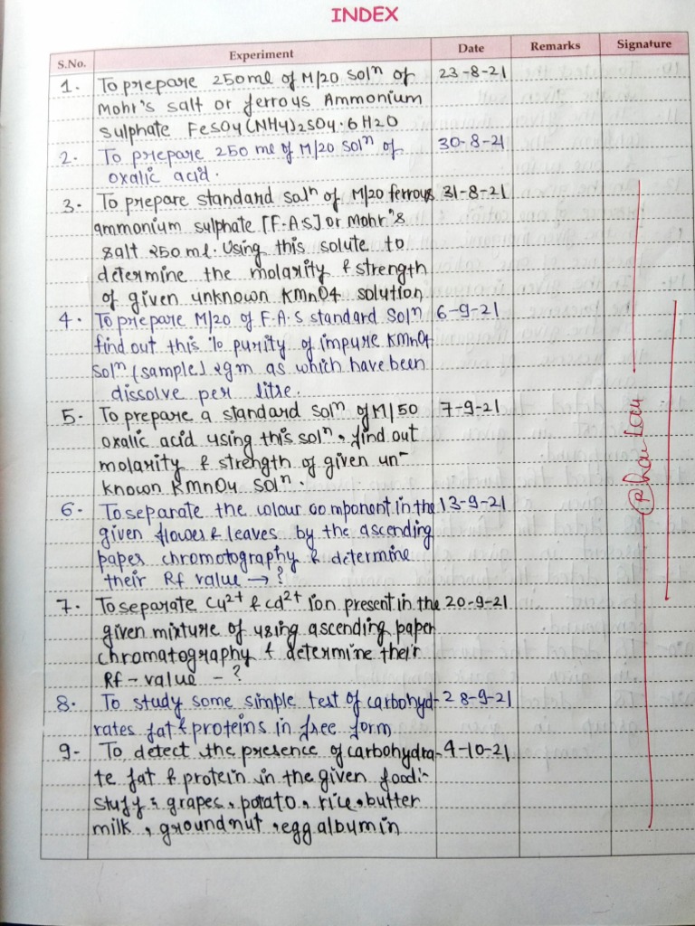 Chemistry Lab 1 | PDF | Chemistry | Chemical Substances