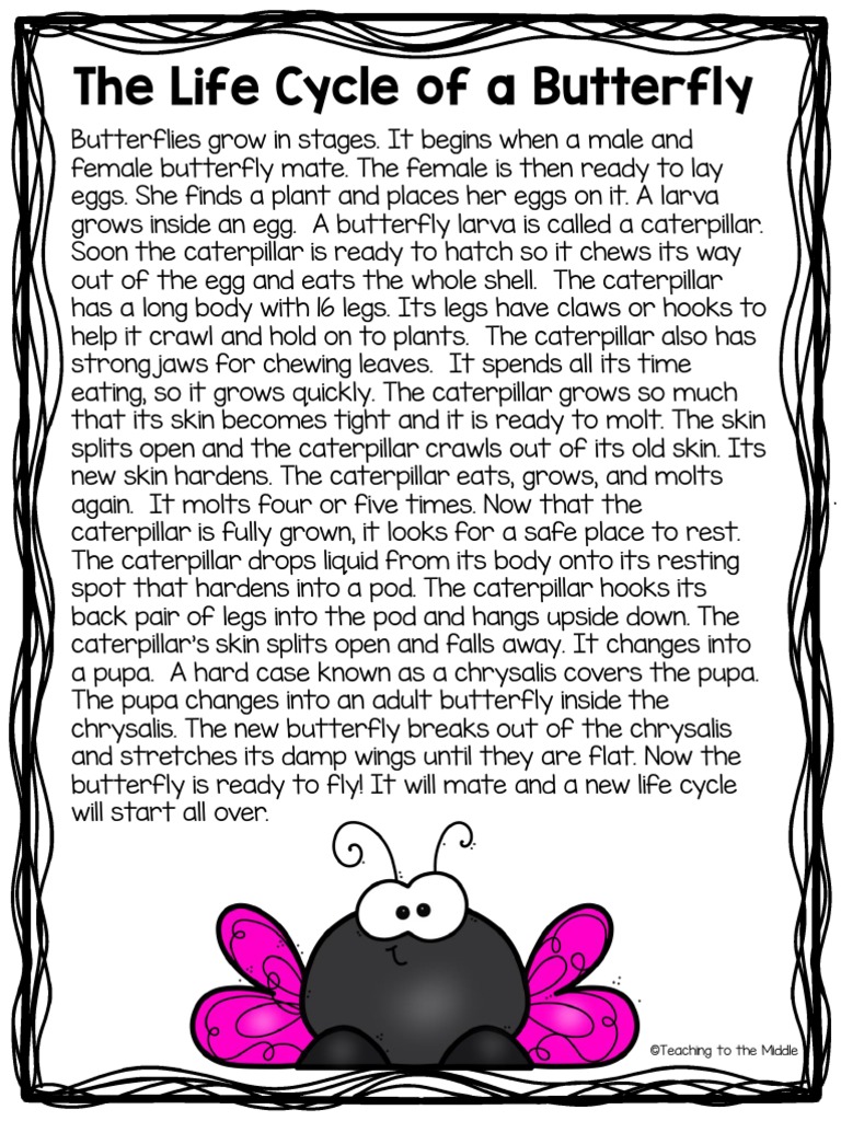 The Life Cycle of A Butterfly: ©teaching To The Middle | PDF | Pupa ...