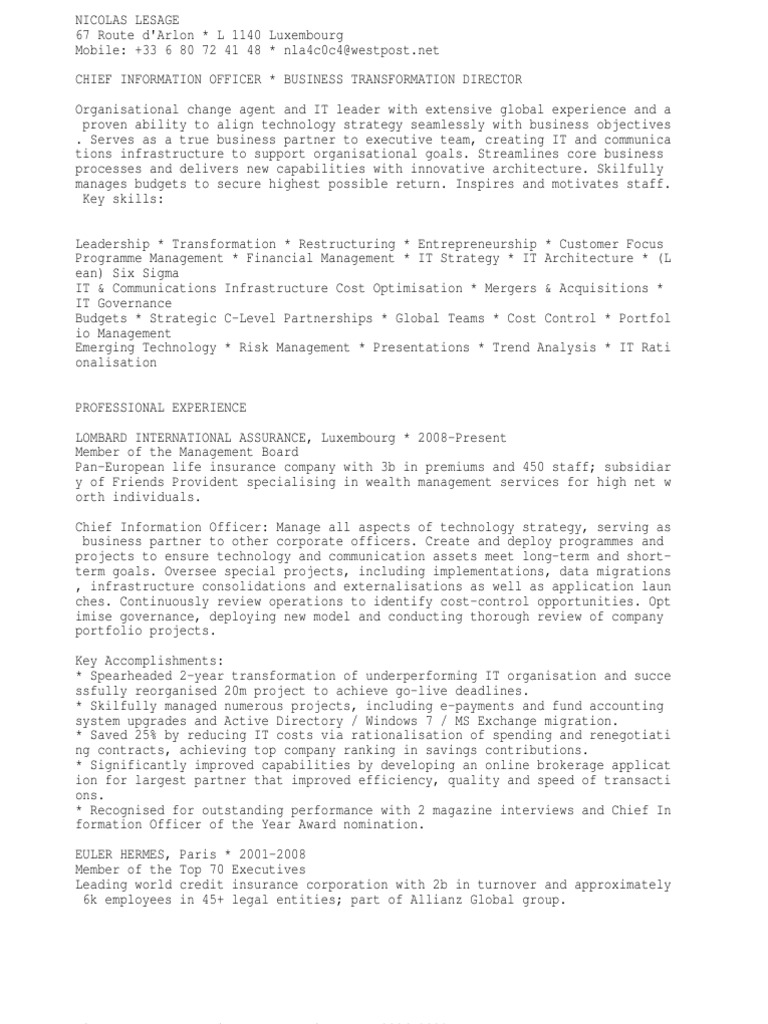 Chief Information Officer | PDF | Chief Information Officer | Governance