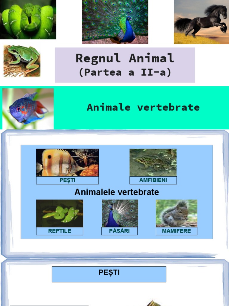 Regnul Animal Partea A Iia Animale Vertebrate | PDF