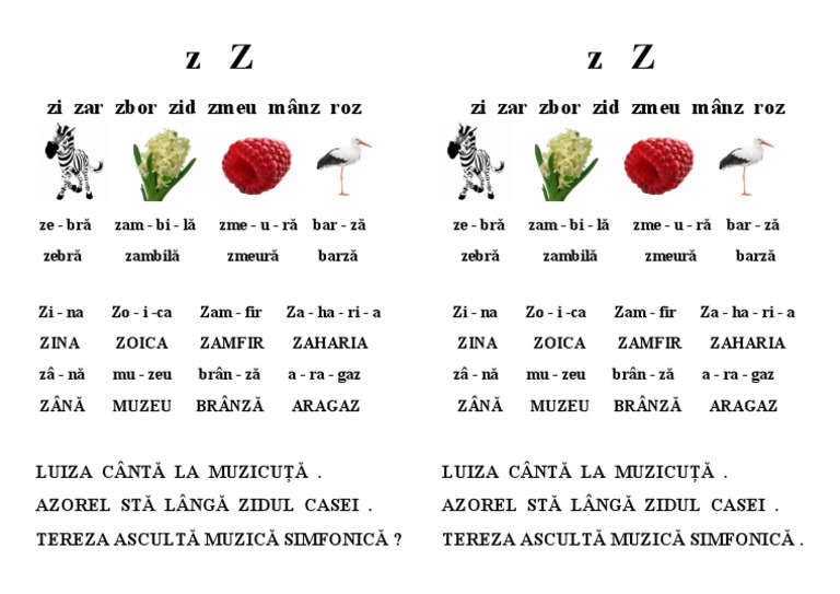Fisa de Citit Z Z | PDF
