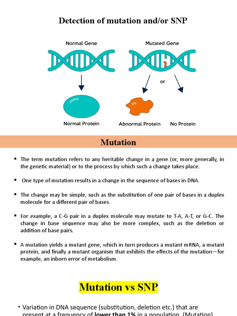 Detection of Mutation and SNP (Autosaved) | PDF