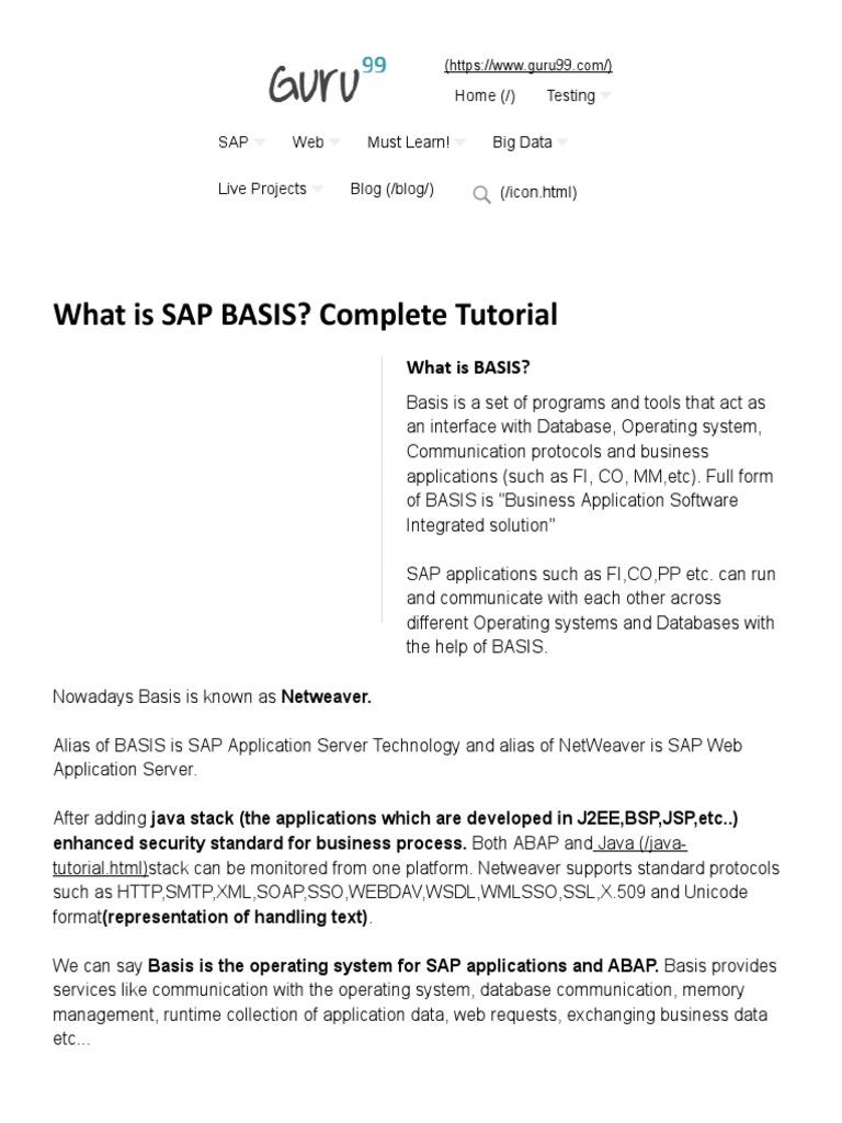 01 What Is SAP BASIS - Complete Tutorial | PDF | Operating System ...