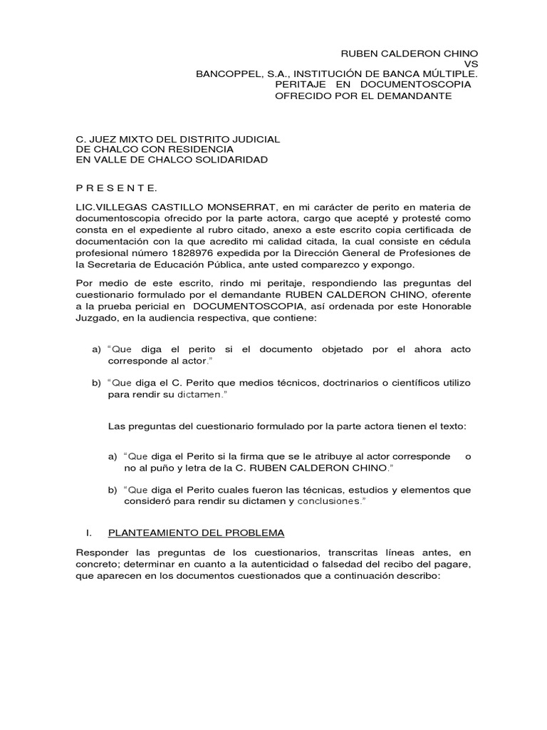 Dictamen Pericial | PDF