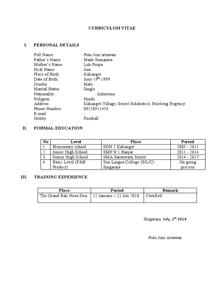 CV Putu Juni Artawan | PDF