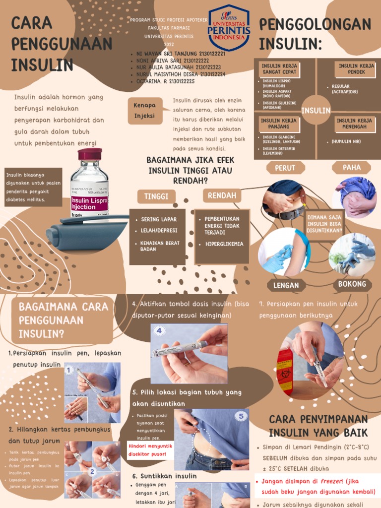 BROSUR INSULIN-Niwayan Sritanjung | PDF
