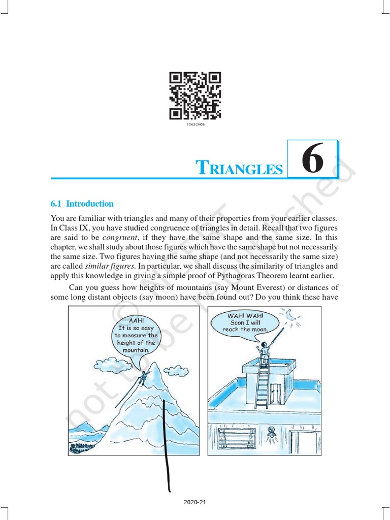 Class 10 NCERT: Triangles Overview | PDF | Triangle | Shape