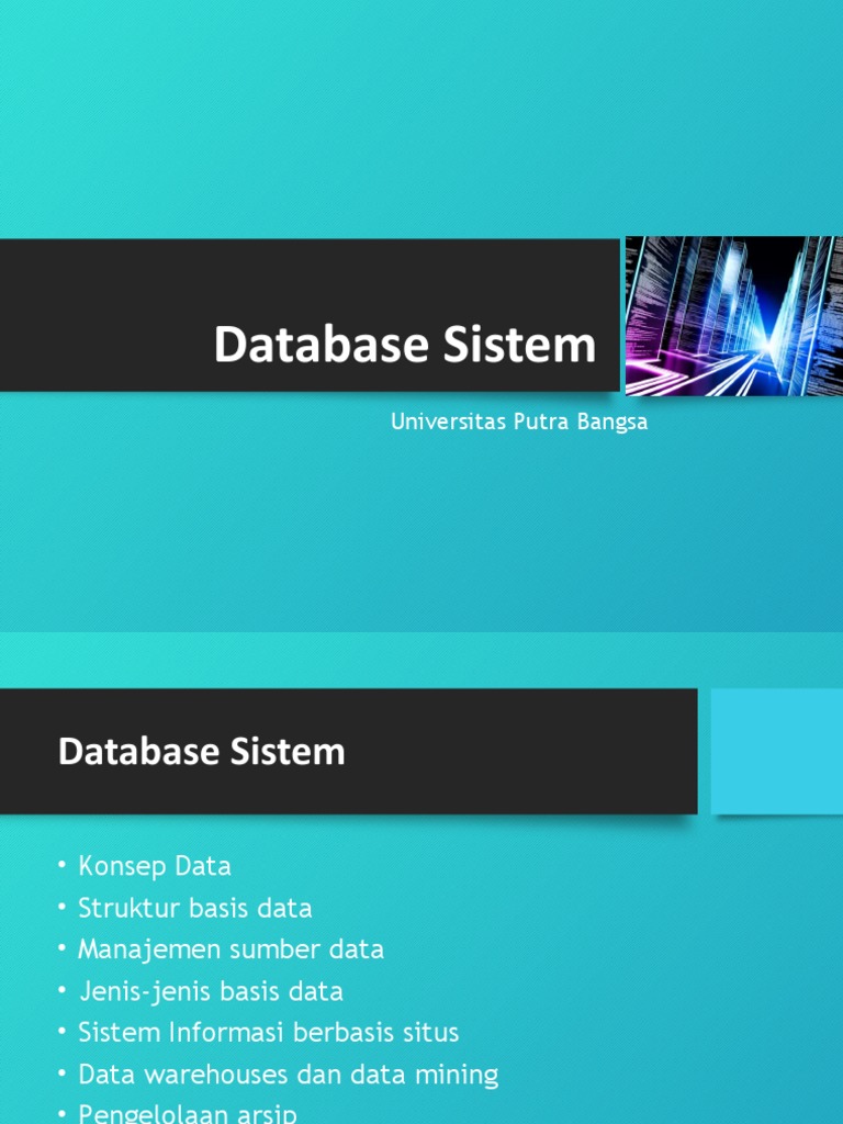 Ch3 - Manajemen Sumber Data (DATABASE) | PDF