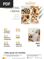 Chiến Lược Định Giá Cocoon | PDF