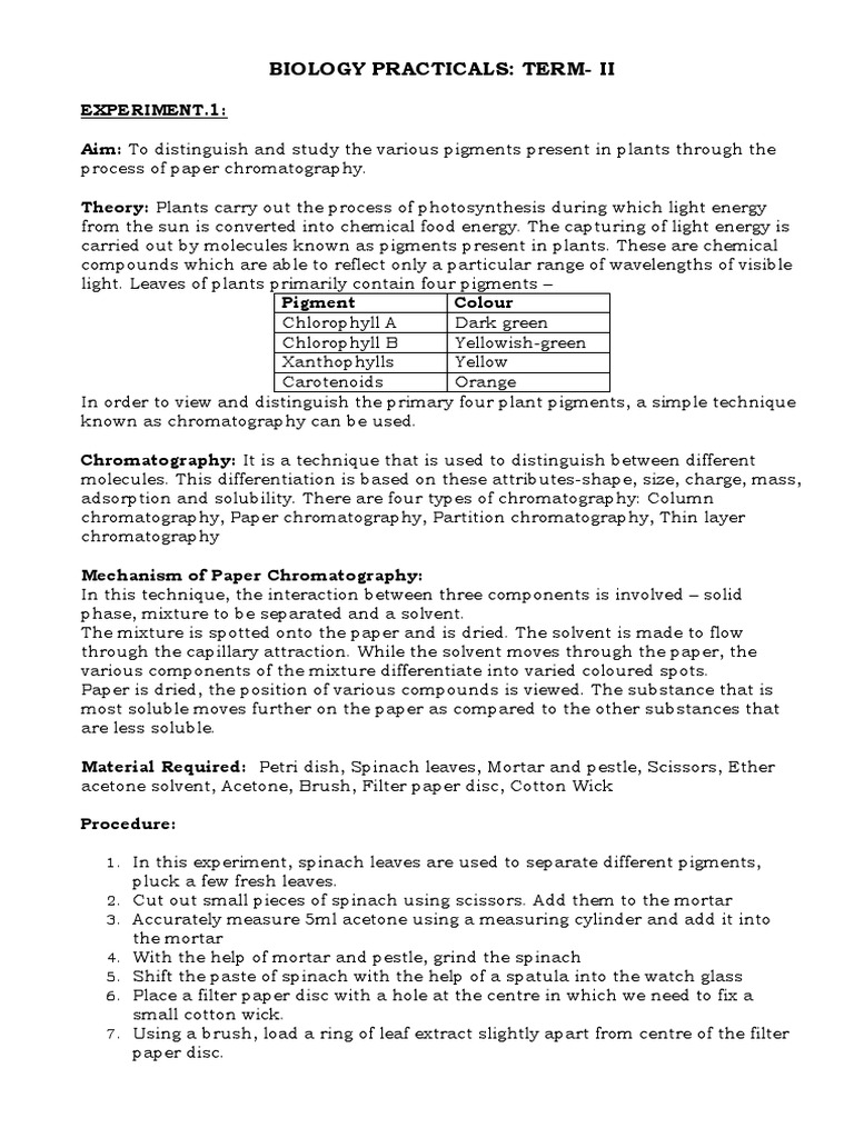 Class XI Practicals Term2 | PDF | Chromatography | Mitosis