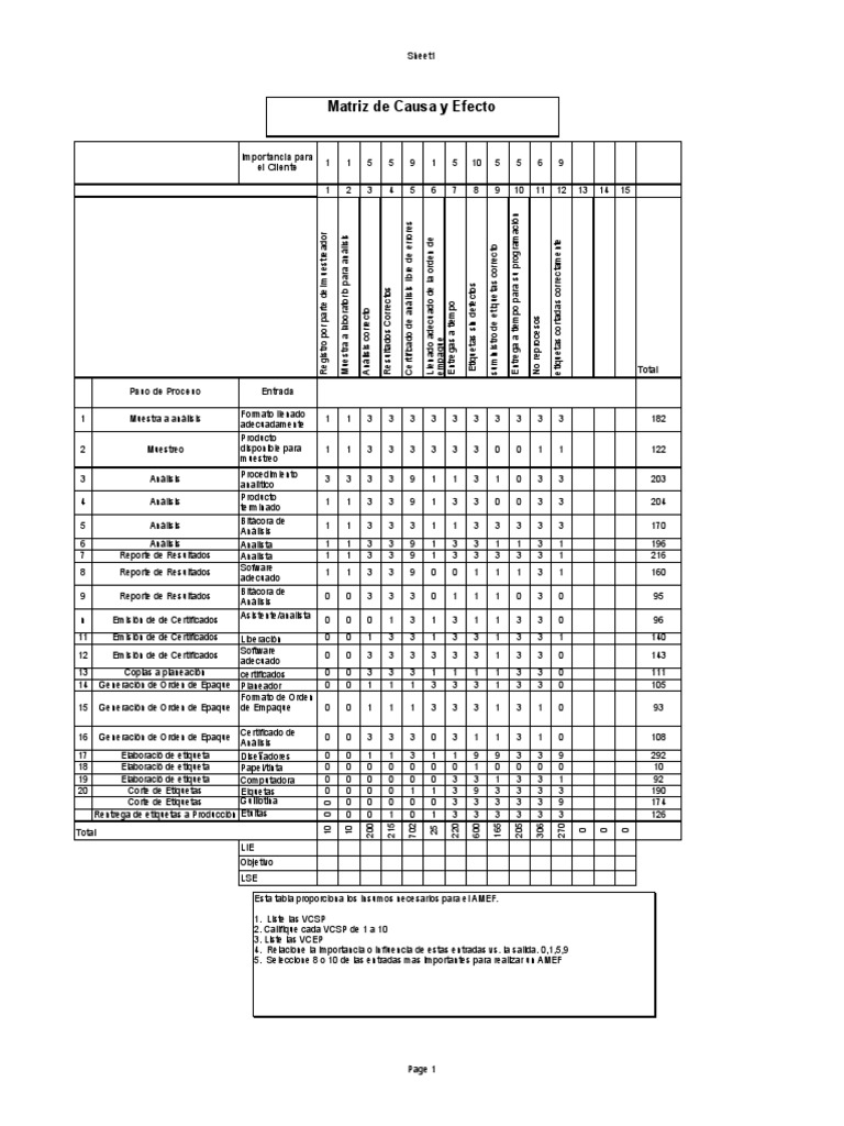 Ejemplo Matriz Causa-efecto