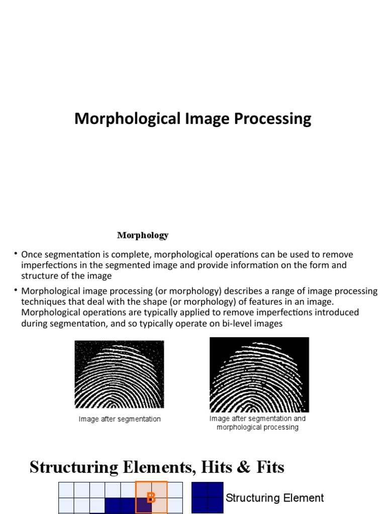 Morphological Processing | PDF | Image Segmentation | Pixel