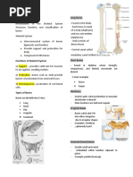 Anatomy - & - Physiology Cheat Sheet | PDF | Bone | Skin