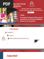 RSE Piramide Carroll | PDF | Responsabilidad social corporativa ...