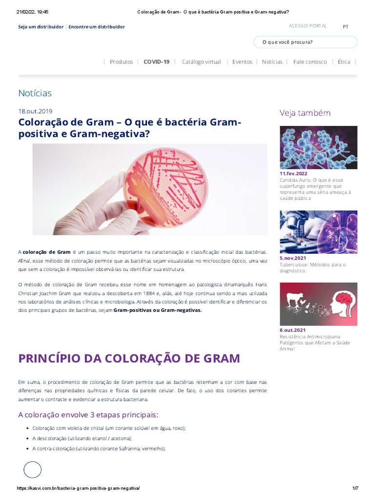 Coloração de Gram - O Que É Bactéria Gram-Positiva e Gram-Negativa ...
