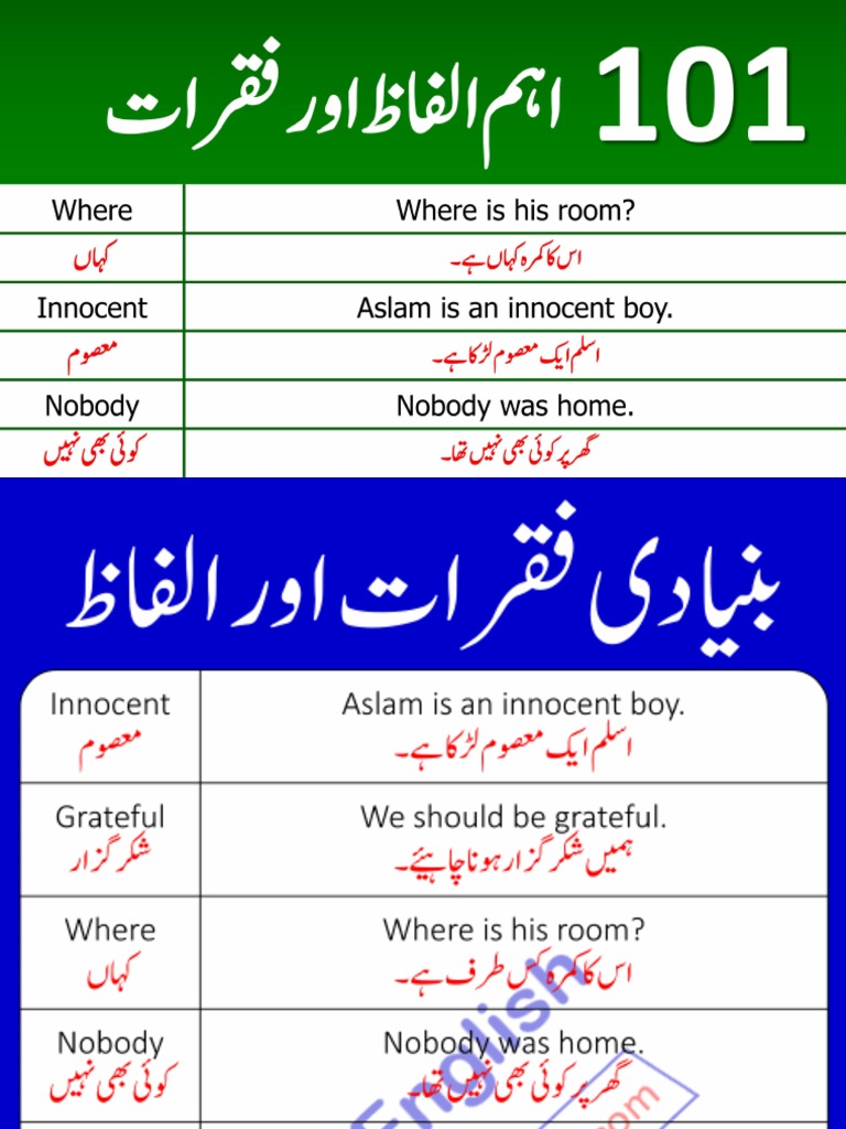 101 Basic English Vocabulary With Sentences in Urdu | PDF