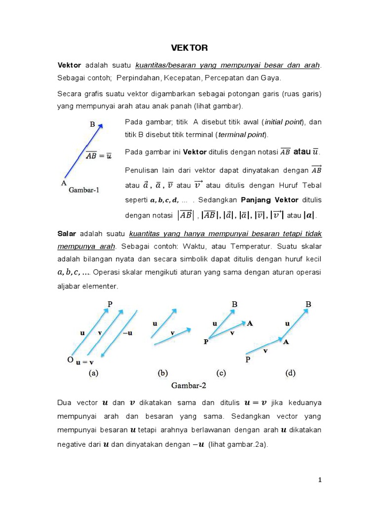 Vektor dan Operasinya dalam Fisika | PDF