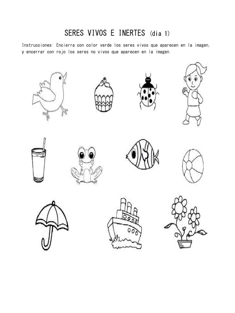 Seres Vivos e Inertes 2 Actividades | PDF