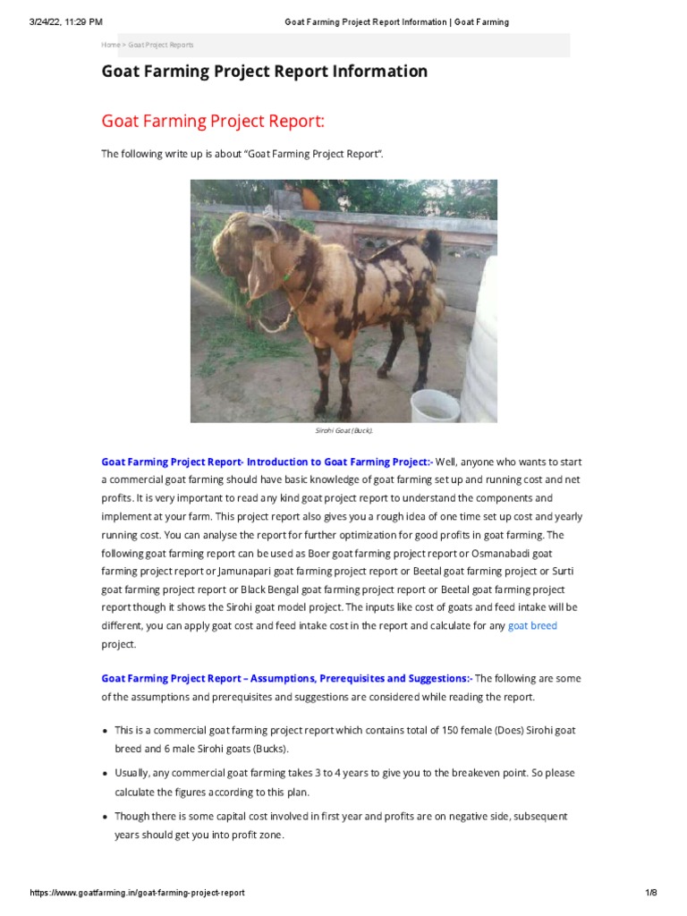 Goat Farming Project Report Information - Goat Farming | PDF | Goat ...