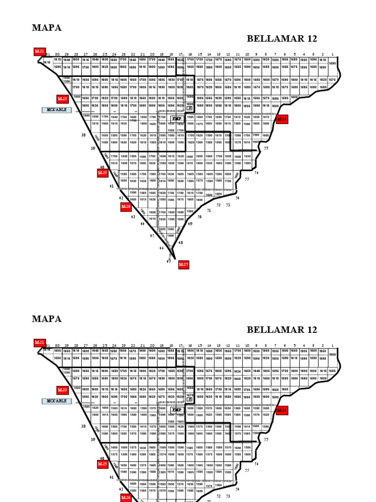 Map of Property Lines and Elevation Data for Bellamar Neighborhood | PDF