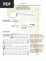 El Pinquillo | PDF | Instrumentos musicales