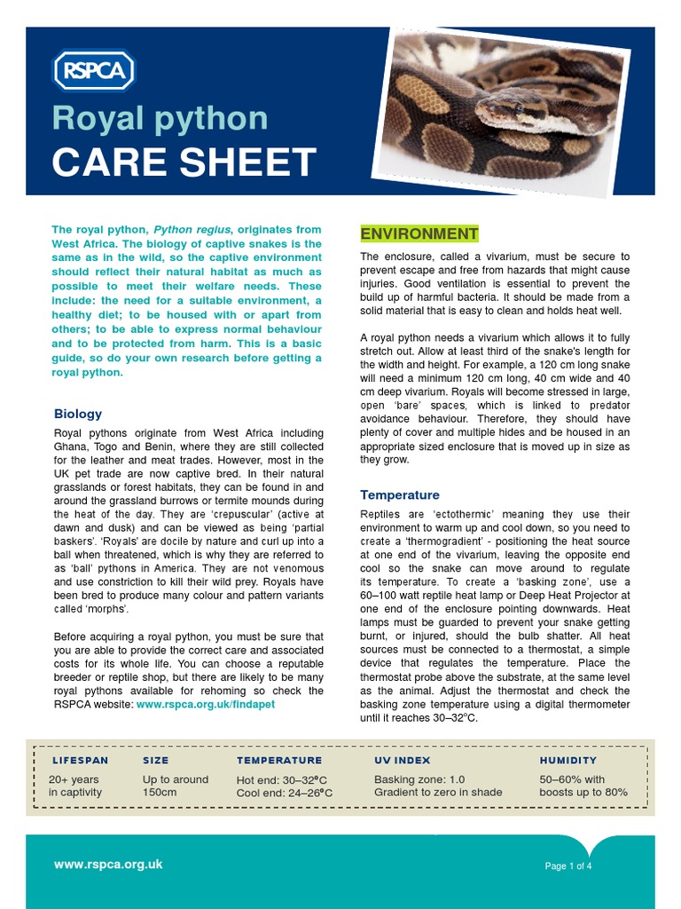 Royal Python Care Sheet (PDF 321KB) | PDF | Vivarium | Ultraviolet