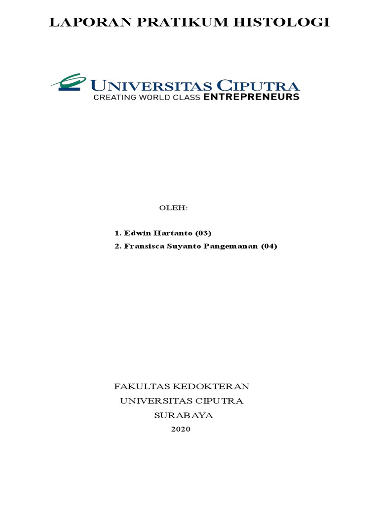 03 - 04 Histo Blok 4 | PDF
