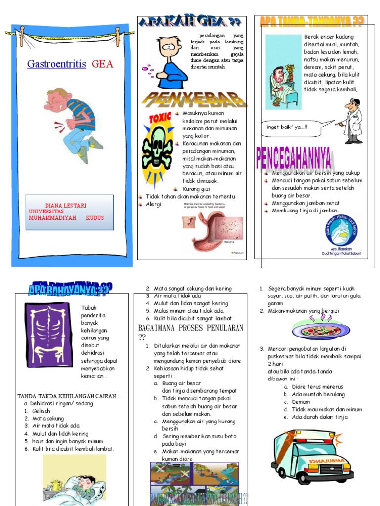 Leaflet Diana Gea | PDF