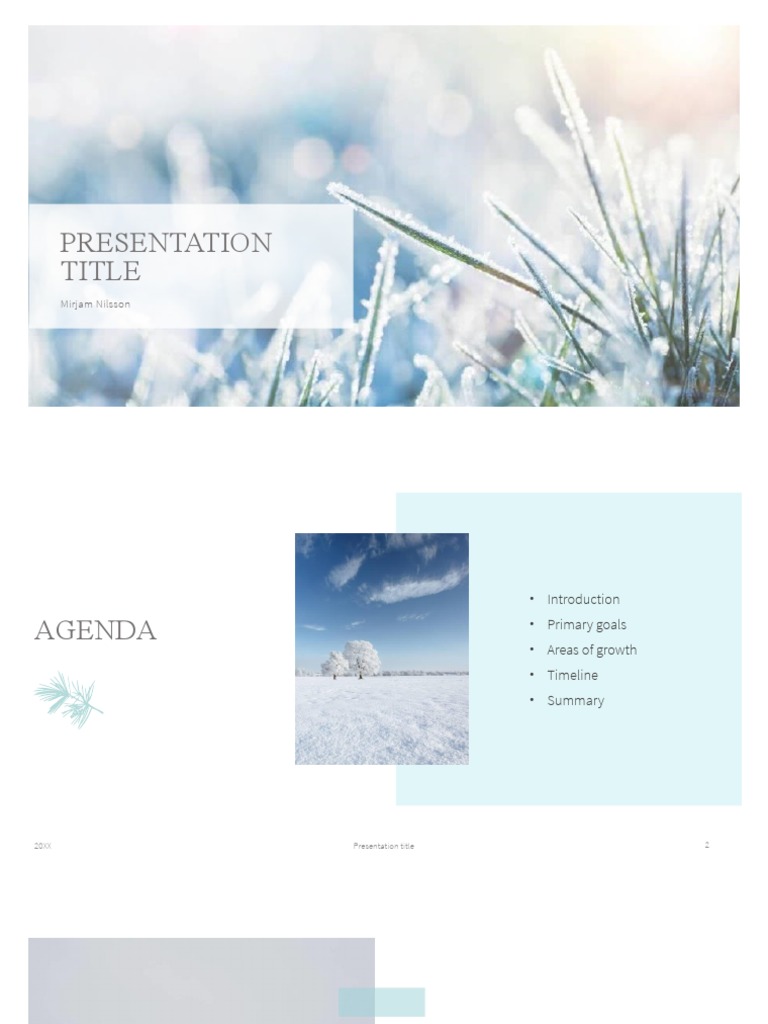 Presentation Title: Mirjam Nilsson | PDF | Electronic Business | Economies