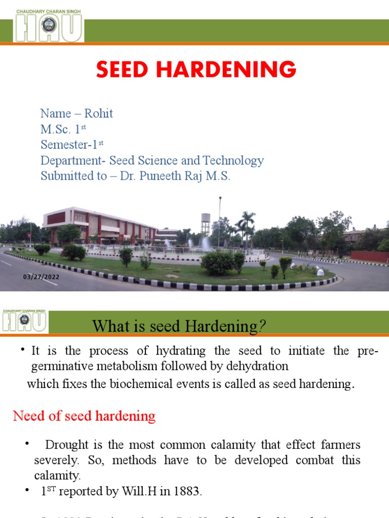 Seed Coating, Film Coating, Seed Pelleting | PDF | Seed | Salt