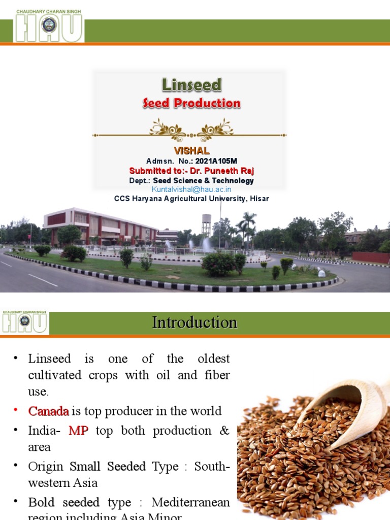 Linseed Cultivation and Management Guide | PDF | Flax | Plants