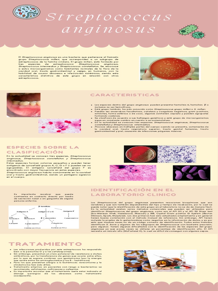 Streptococcus Anginosus | PDF | Estreptococo | Organismos