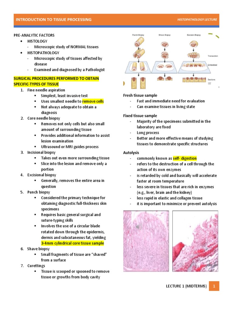 Overview of Tissue Processing Steps | PDF | Biopsy | Histopathology