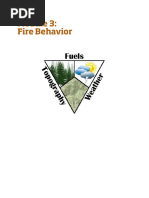 Fire Behavior Fuel Model Guide | PDF | Shrub | Fires