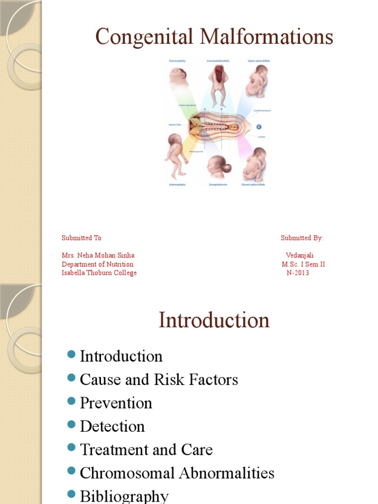 Congenital Malformations | PDF | Pregnancy | Prenatal Development