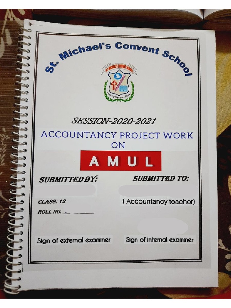 Accountancy Project PDF | PDF