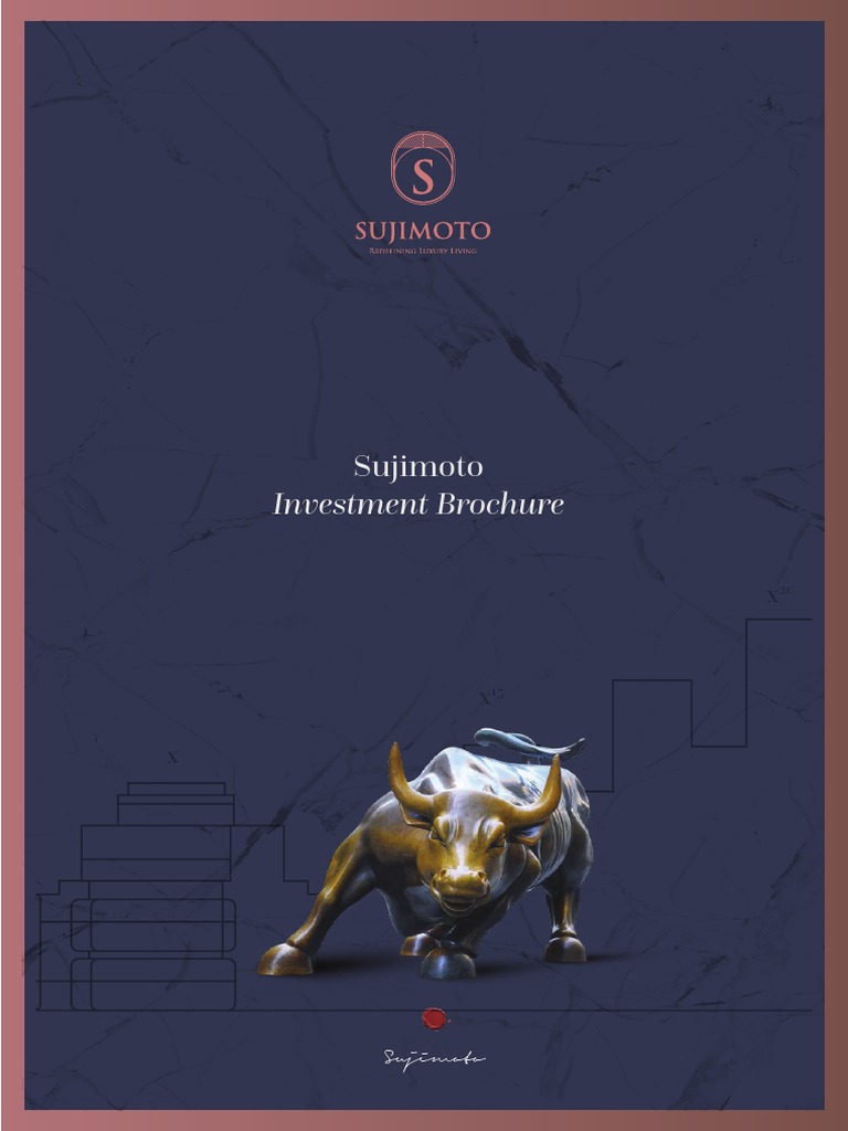 Sujimoto Investment Initiative Overview | PDF | Investing | Investor
