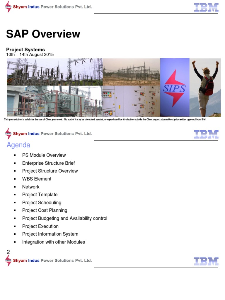 SAP PS Overview | PDF | Business | Economies